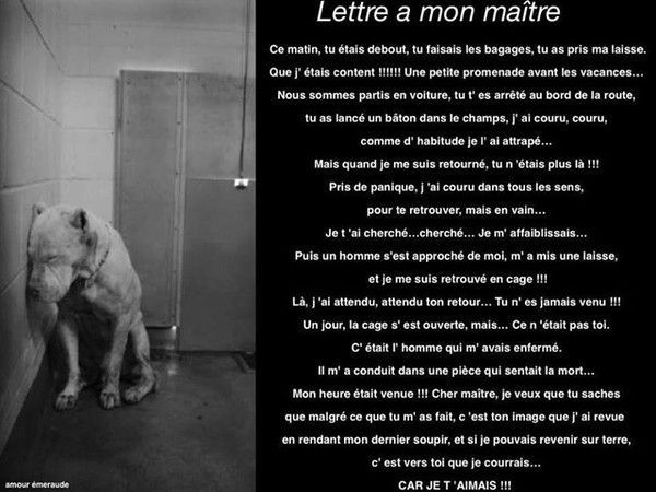 Une Lettre à Mon Maître